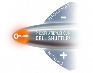Cell Shuttle – Modern Pharm
